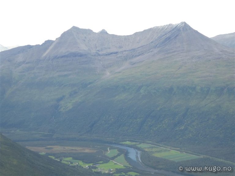 Storala 1237 moh - kugo.no