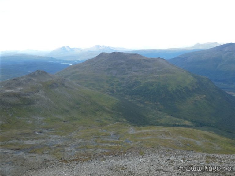 Storala 1237 moh - kugo.no